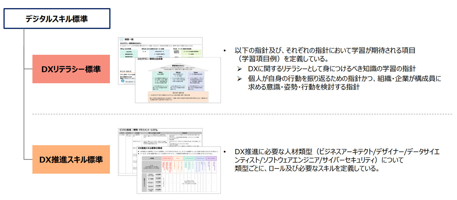 DX人材不足解決に向けて 経産省(IPA)が公表した「デジタルスキル標準」とは何か？